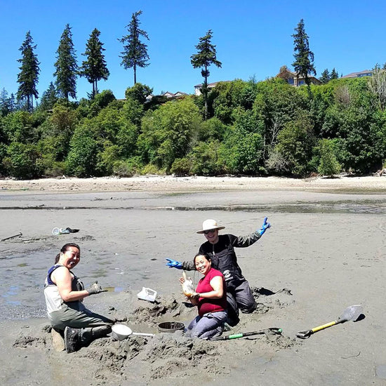 Geoduck Tube – TheClaminator